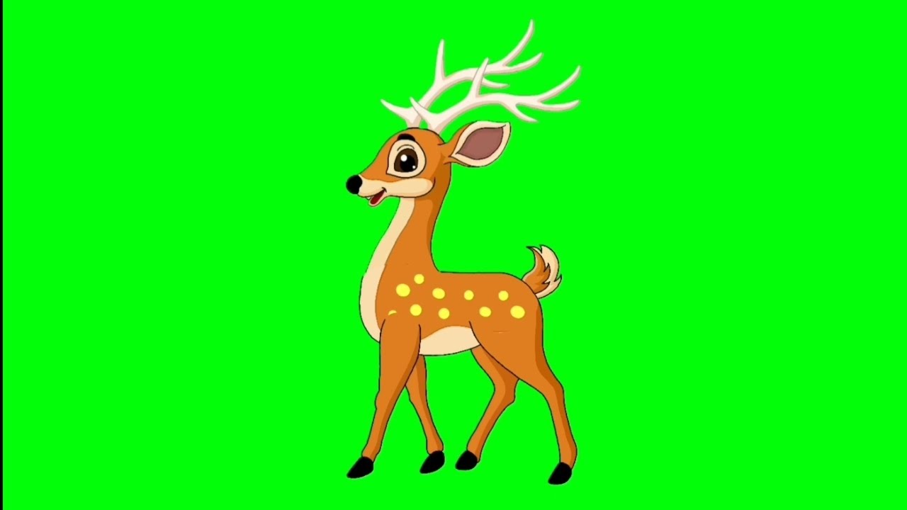 Talking and Walking deer#greenscreen #nocopyrightvideo #animated # ...