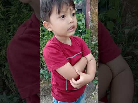 Bocah ini lebih berani melihat orang kecelakaan dari pada Tante nya😂