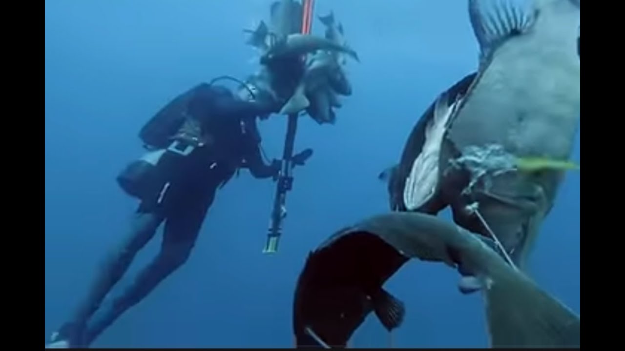 spearfishing deep sea bed - YouTube