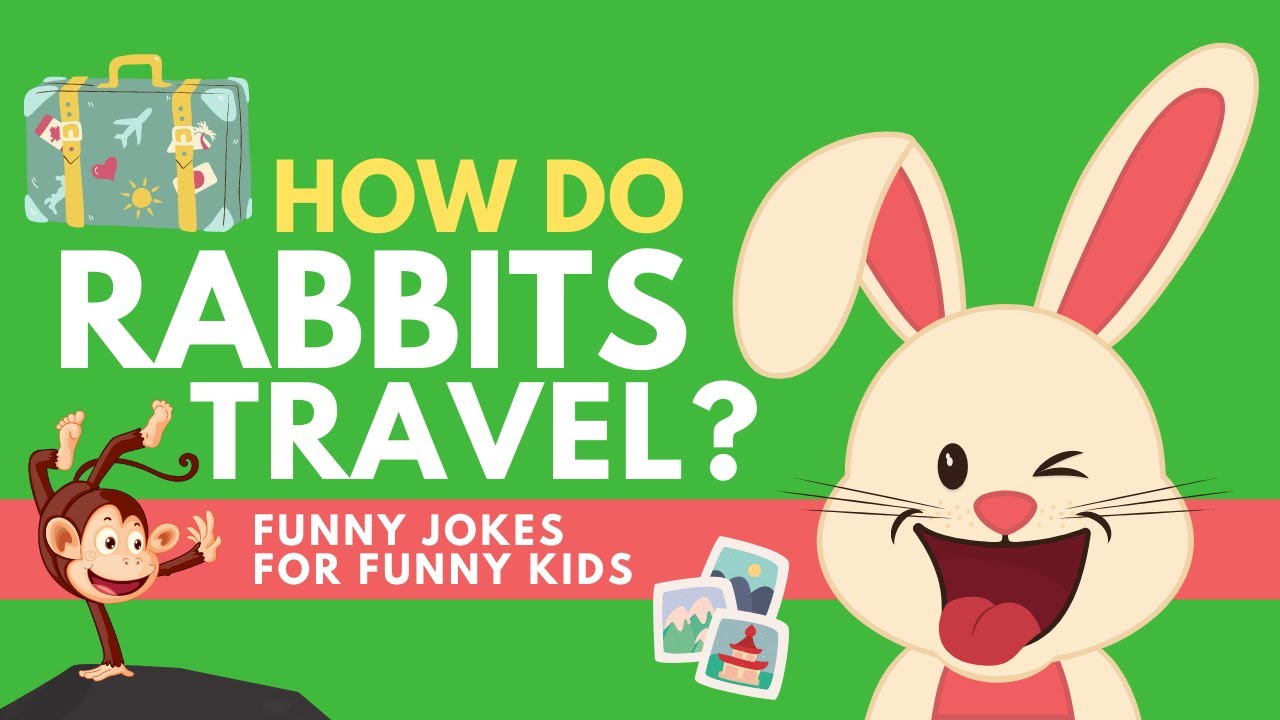 10 Ridiculous Rabbit Jokes That Will Make You Hoppy! - YouTube