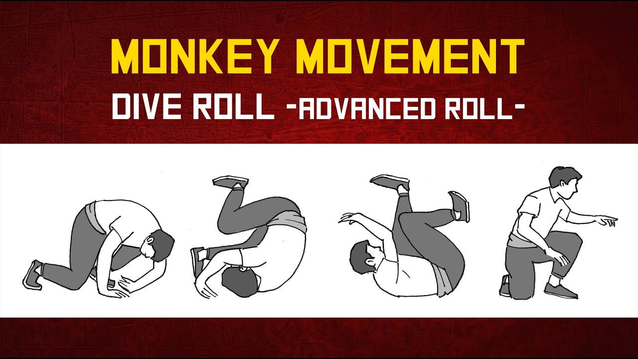 🐒Kung Fu Monkey Movement - Dive Roll - YouTube