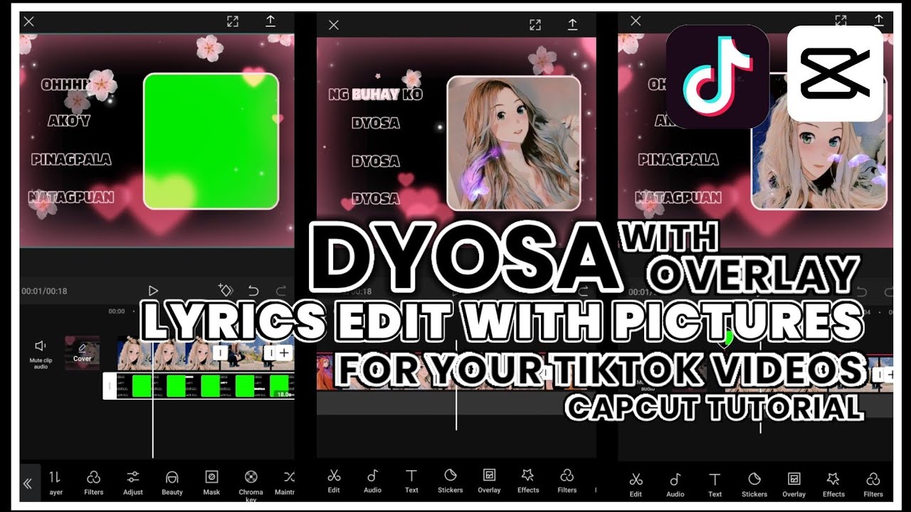 DYOSA Lyrics Edit with Pictures | With Overlay | TikTok Video | Tiktok ...