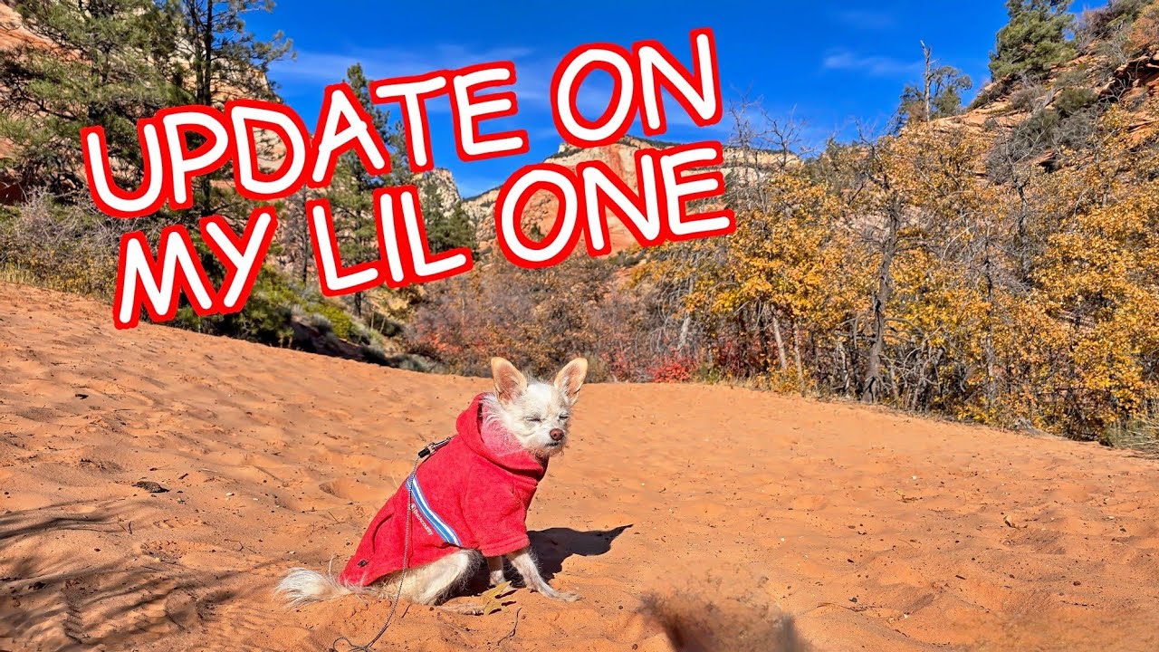 Live Video With An Update On Lil One - YouTube