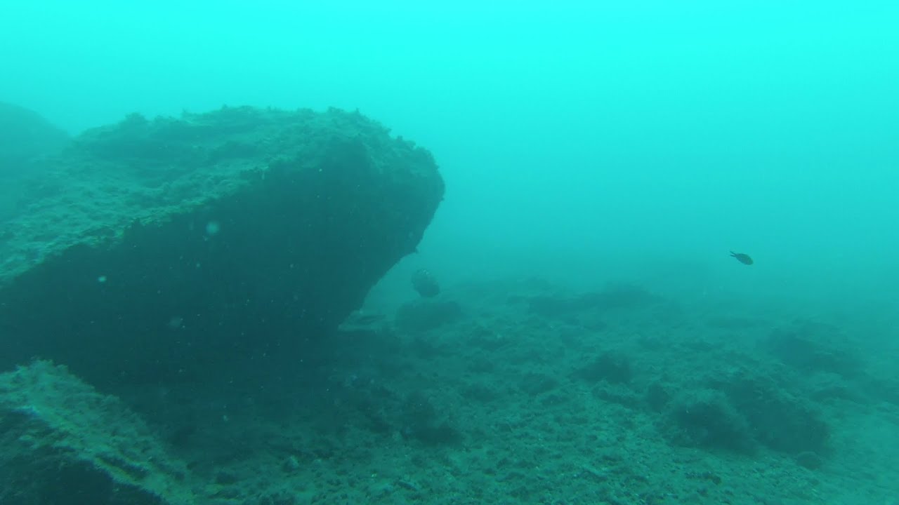 Pescasub Spearfishing : Padella cernia invernale - YouTube