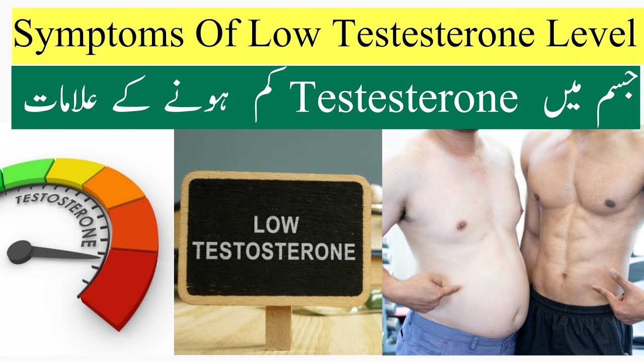 What are The Signs And Symptoms Of Low Testesterone Level In Urdu Hindi ...