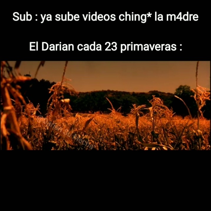 El Darian Cada 23 primaveras | #memes #shorts #primavera | Es que no hay buenos memes 🗣🤌 - YouTube