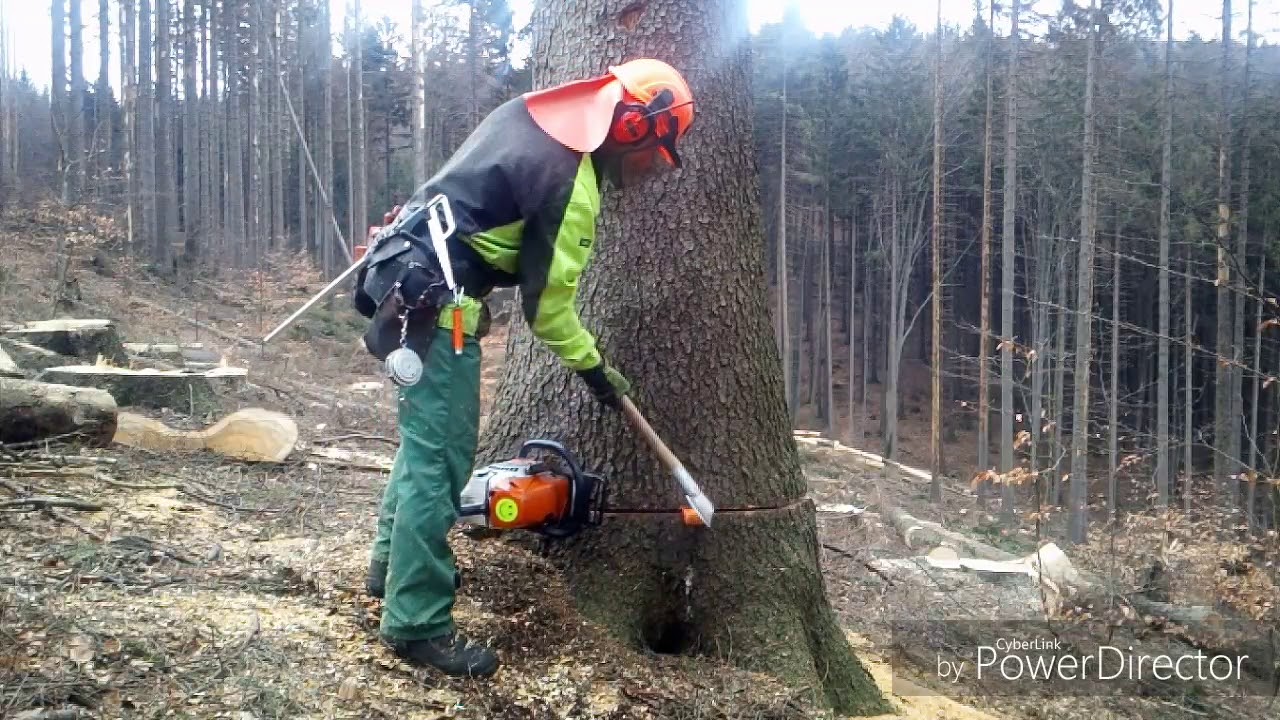 Working in forest, 110-2019, Im wald arbeiten, Práce v lese 🇨🇿 - YouTube