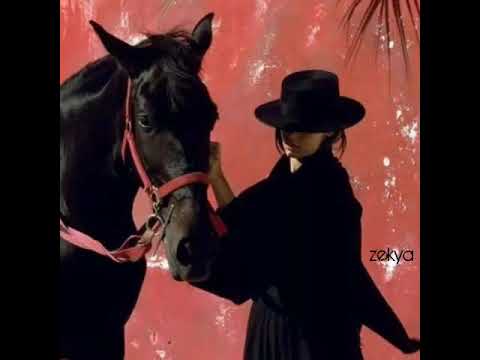 Mari Boine - Vuoi Vuoi Mu