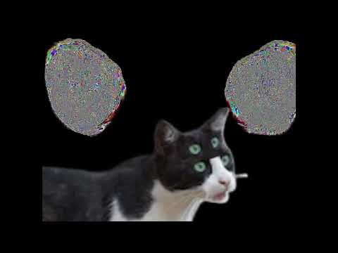 meow meow i am a cat (Music Video)