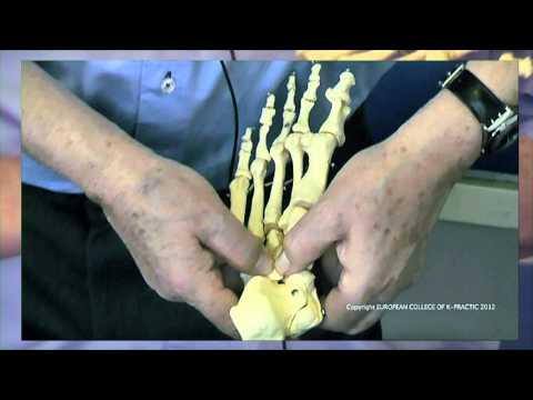 Foot Manipulation DVDs