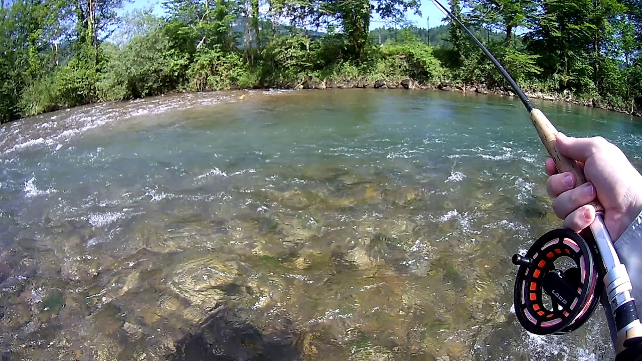 Kolpa french nymphing - small grayling | 9.6.2019 - YouTube
