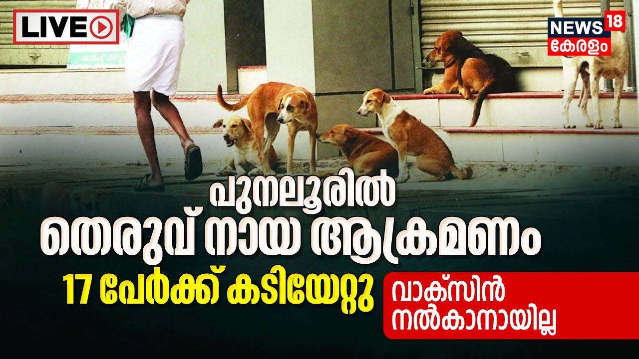 LIVE | Stray Dog Attack In Kerala | Punalur Taluk Hospital | 17 Injured ...