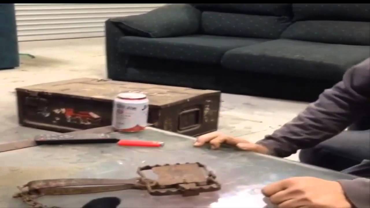 Kid Sticks Face In Rabbit Trap - YouTube