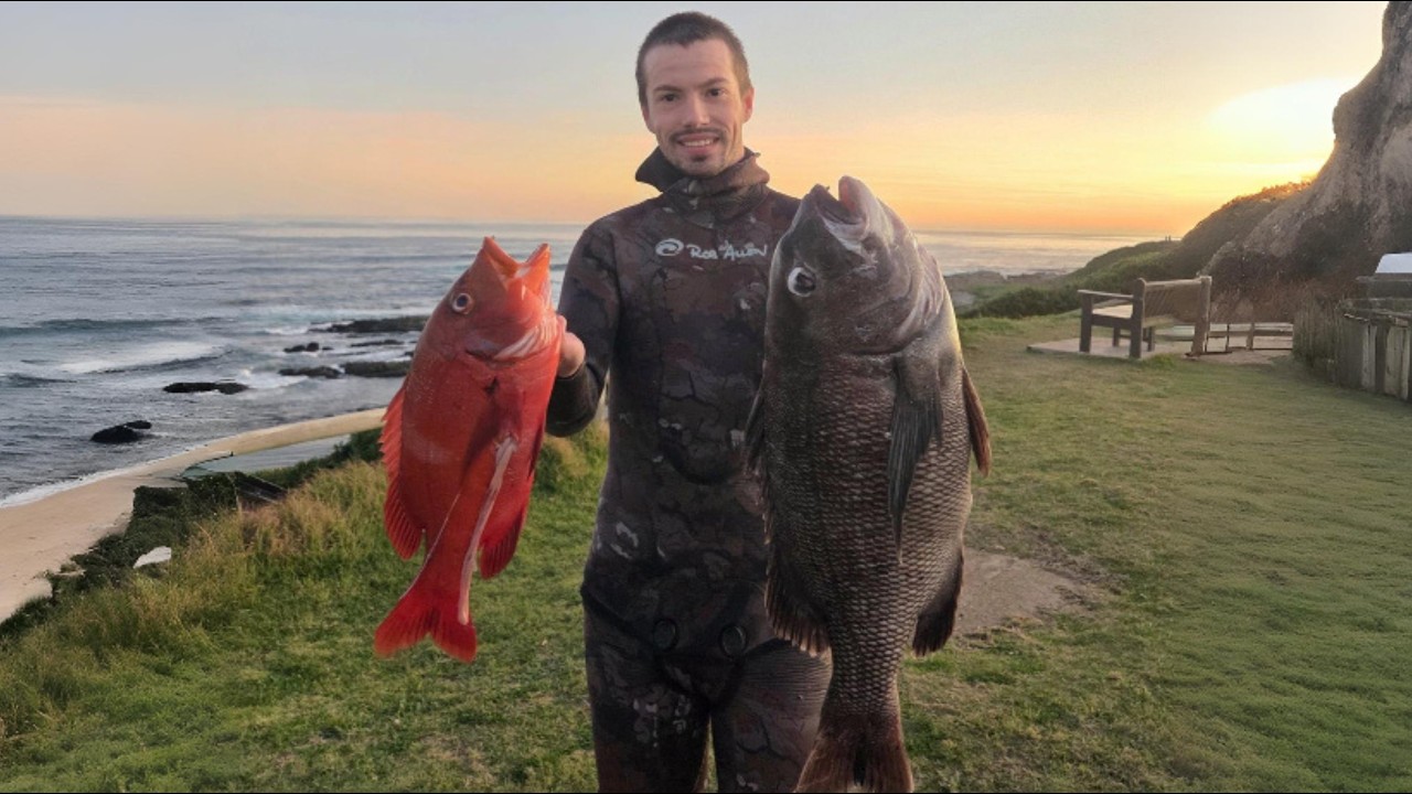 Hunting the Elusive Poenskop: Spearfishing the South African Coast ...