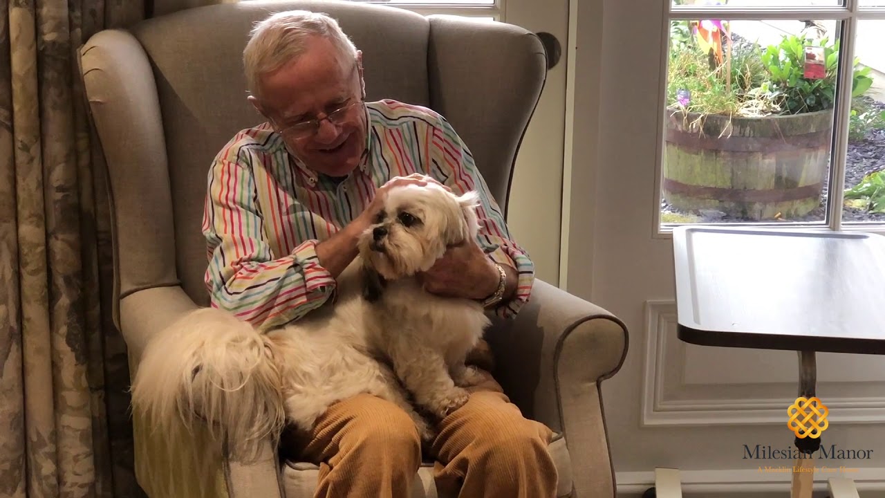 Dog Therapy at Milesian Manor - YouTube