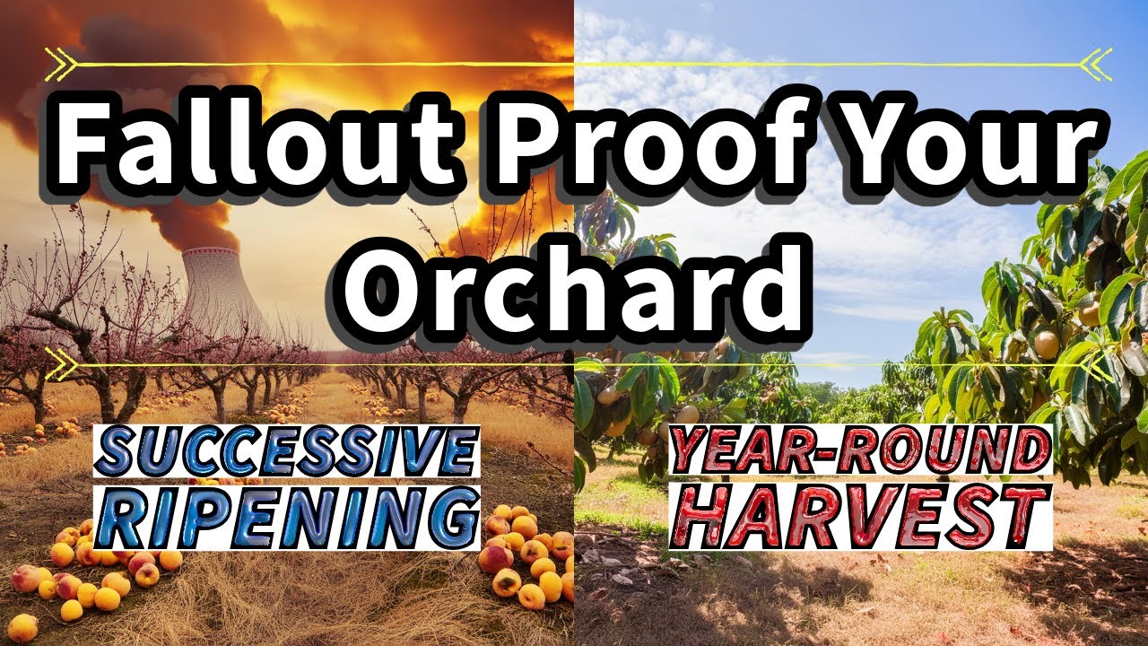 Fallout Proof Backyard Orchard - Successive Ripening - YouTube