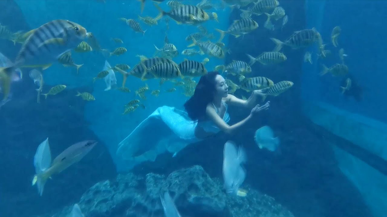 A professional mermaid in Xiamen, China - YouTube