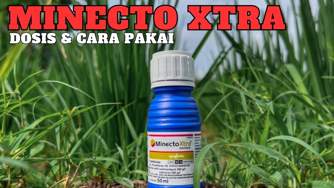 Insektisida minecto xtra 200 / 200 SC - dosis cara aplikasi minecto ...