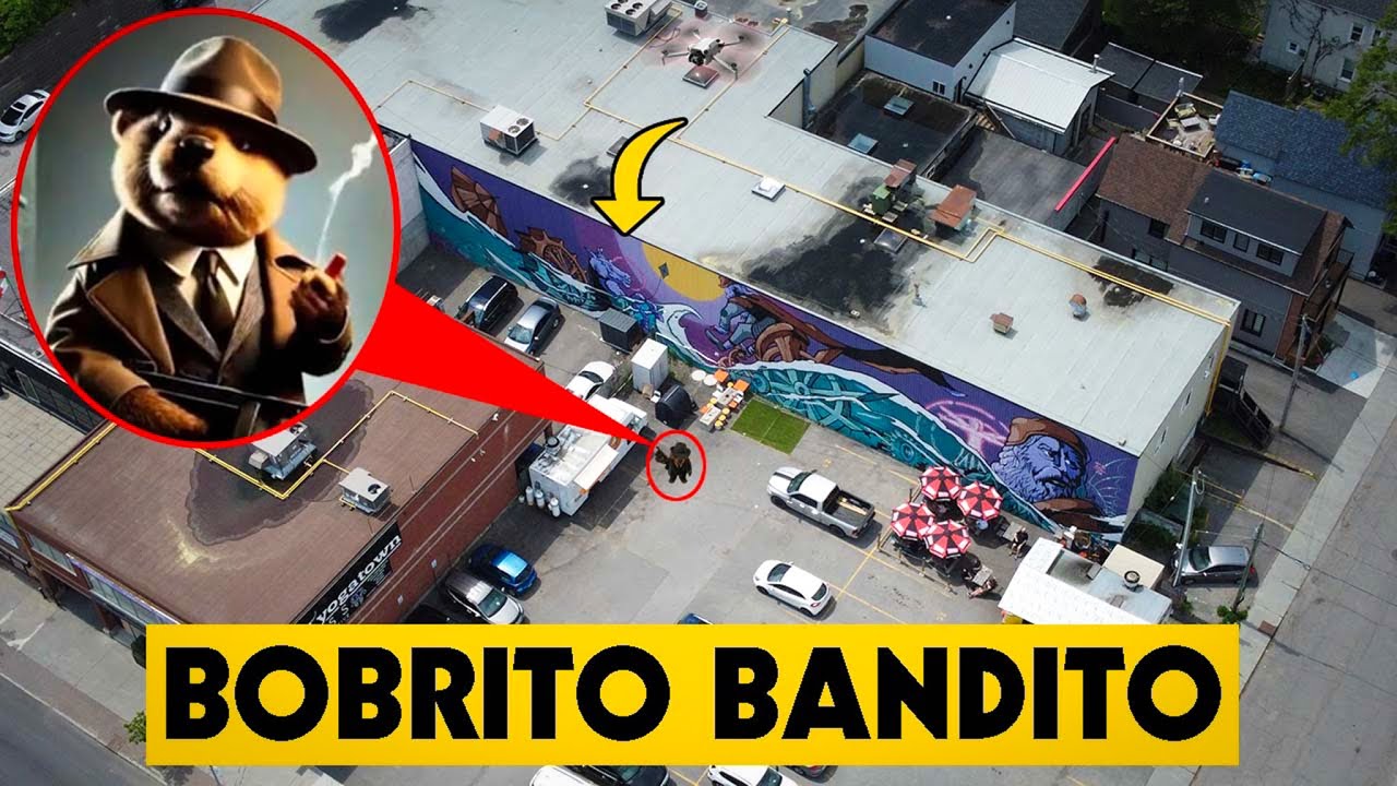DRONE CATCHES BOBRITO BANDITO IN LITTLE ITALY IN REAL LIFE! (SHOOTING ...