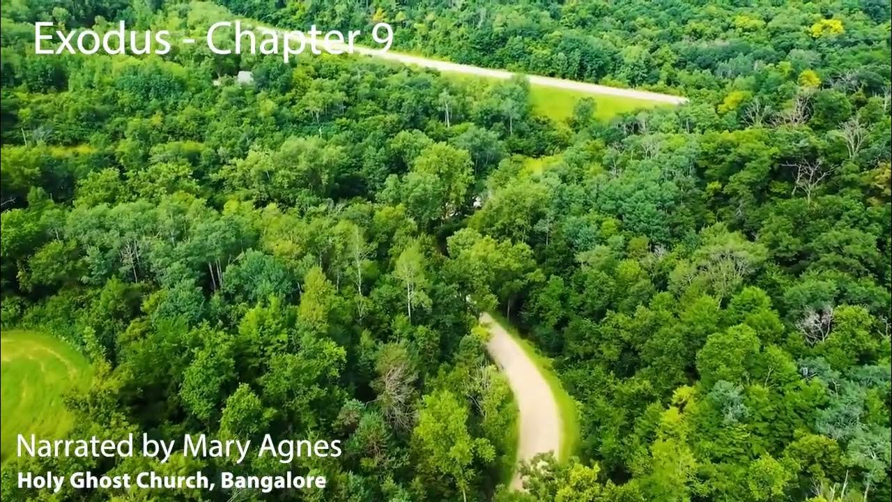 Exodus Chapter 9 YouTube exodus-chapter-9-youtube