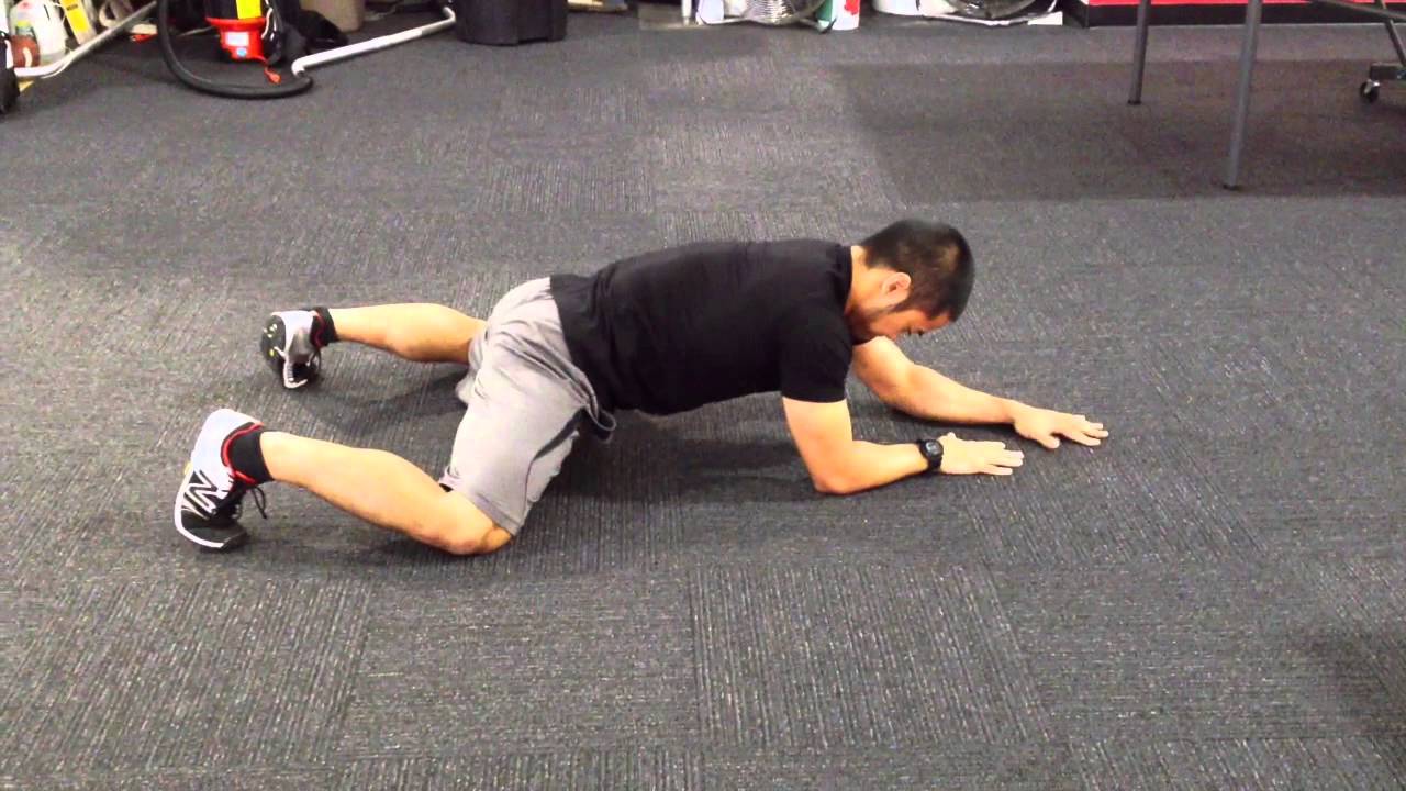 Wide Stance Quadruped Plank - YouTube