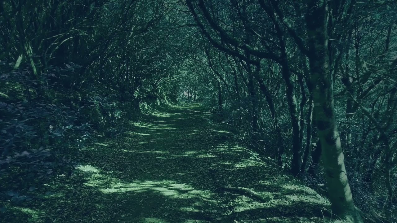 Background Video Horor Suasana Seram - YouTube