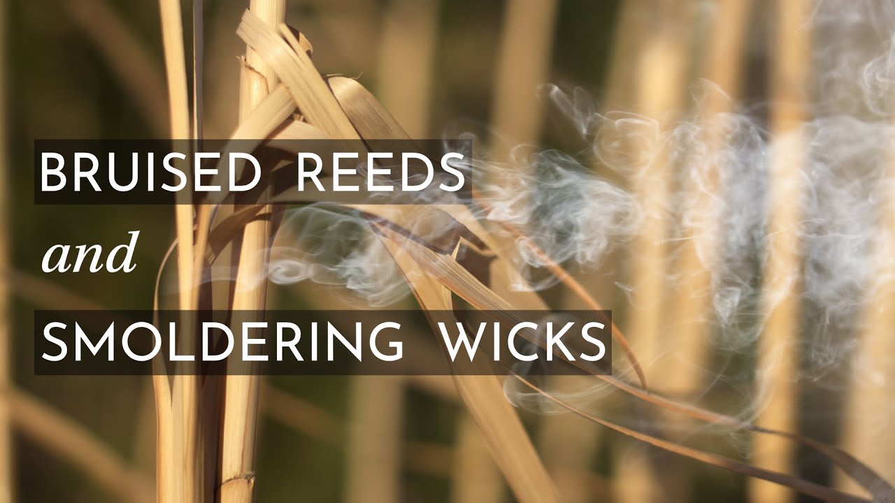 God's Promise to bruised reeds and smoldering wicks (Matthew 12:20) - YouTube