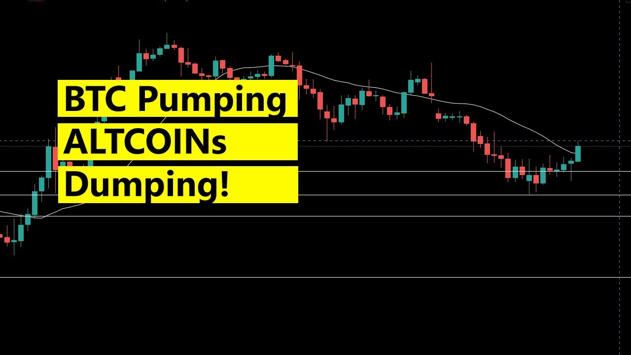Bitcoin pumping, Altcoins dumping - Here is why sometimes BTC pumps and ...