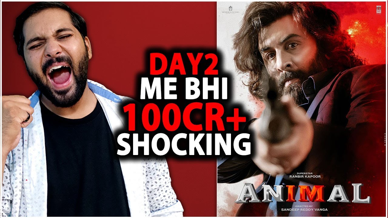 Animal Day 2 Box Office Collection Prediction | Animal Day 2 Bigger ...