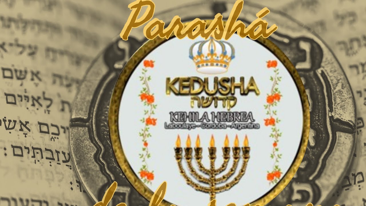 Vaerá: Las Maravillas de la Torah - YouTube