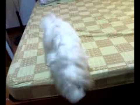 mika crying - YouTube