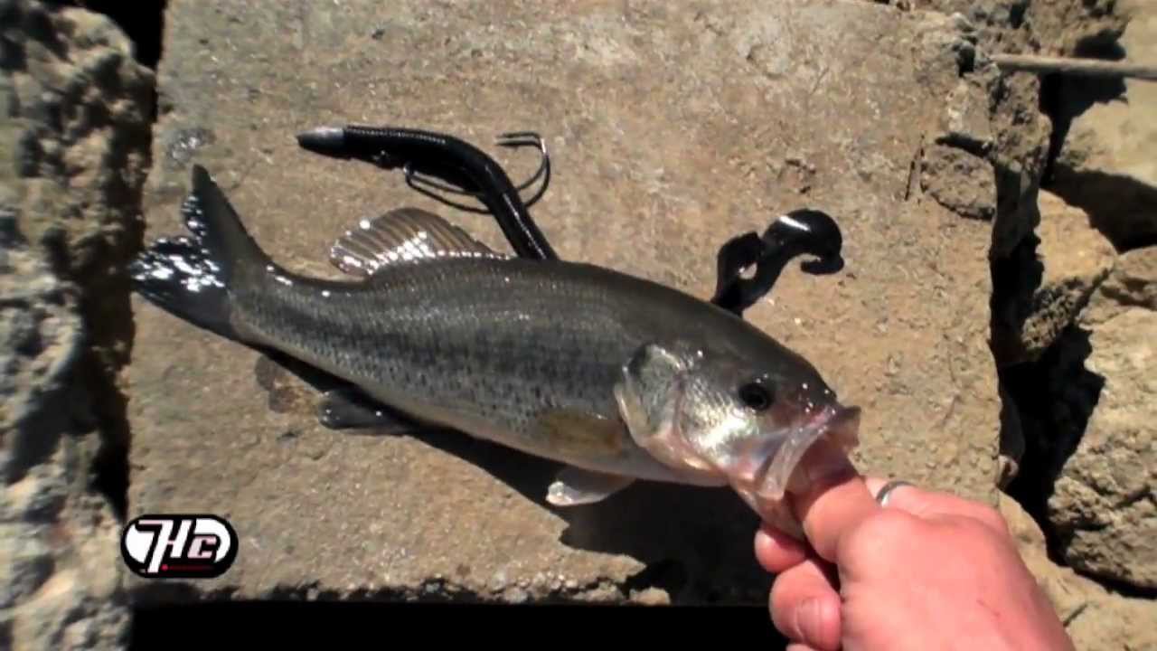 Fish on the first cast! - YouTube