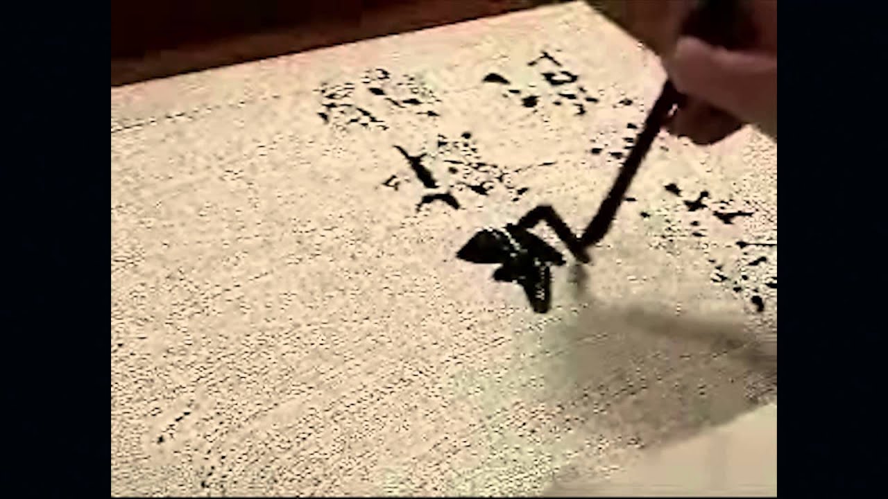 Shengtian Zheng speaks at Sam Sullivan's February 2014 Public Salon ...