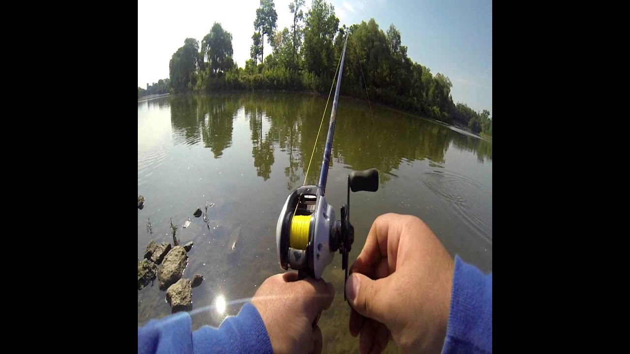 GOPRO - Redfin Sucker caught - YouTube