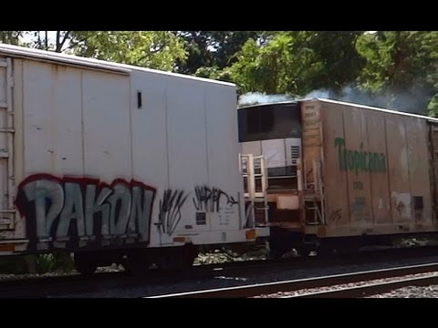 Tropicana Train With Smoking Reefer - YouTube