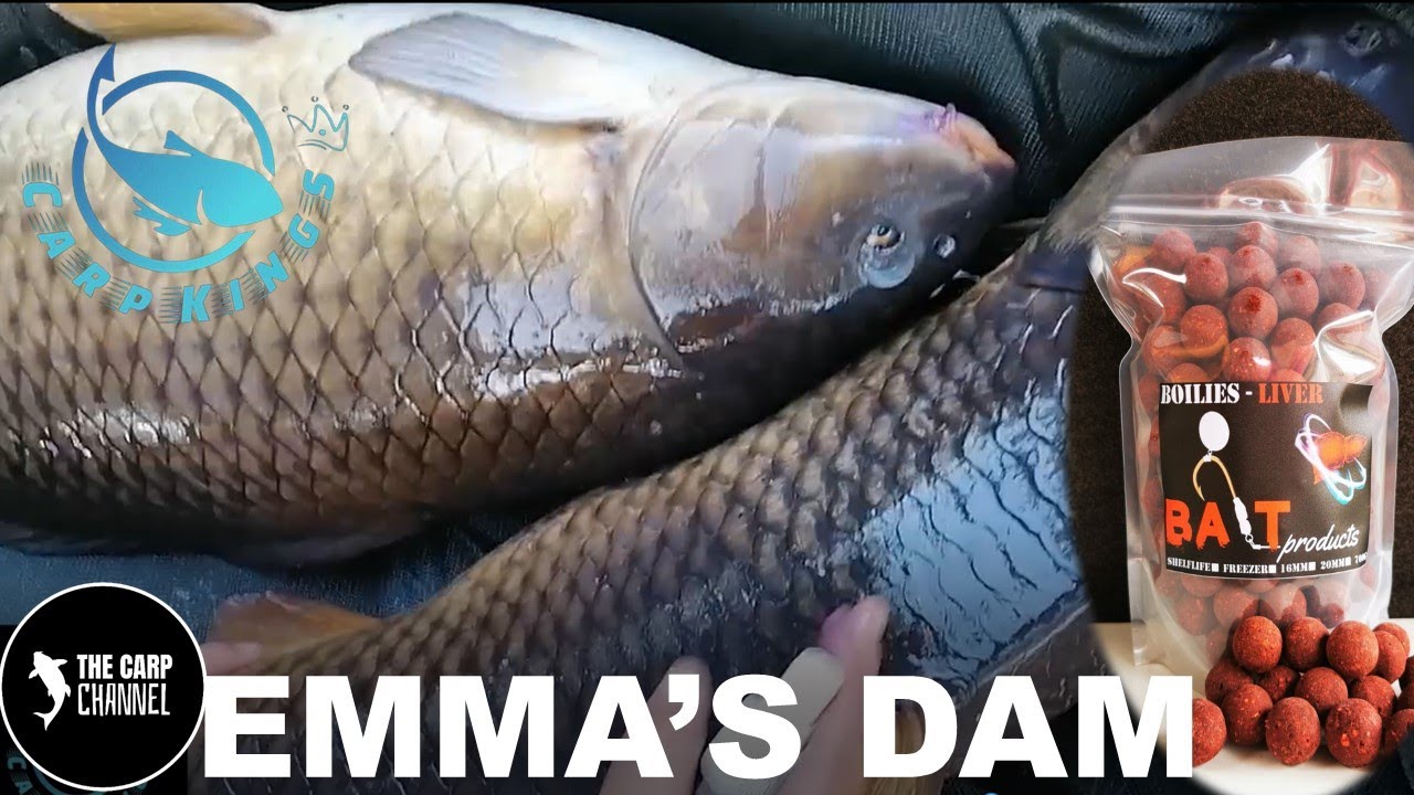 Carp Kings @ Emmarentia Dam - Angling Carp Care (Bait Products) - YouTube