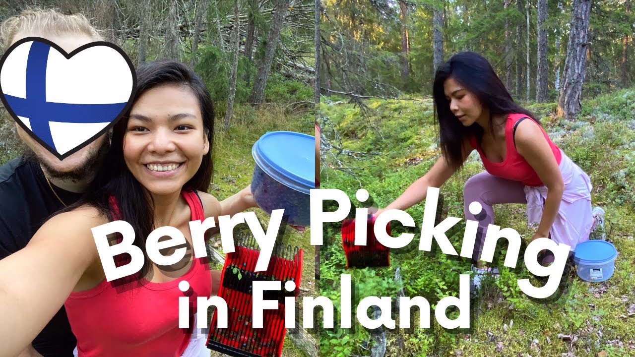 DONATING BLOOD IN FINLAND & BERRY PICKING IN FINNISH FOREST | VLOG|🇲🇲🇫🇮 ...
