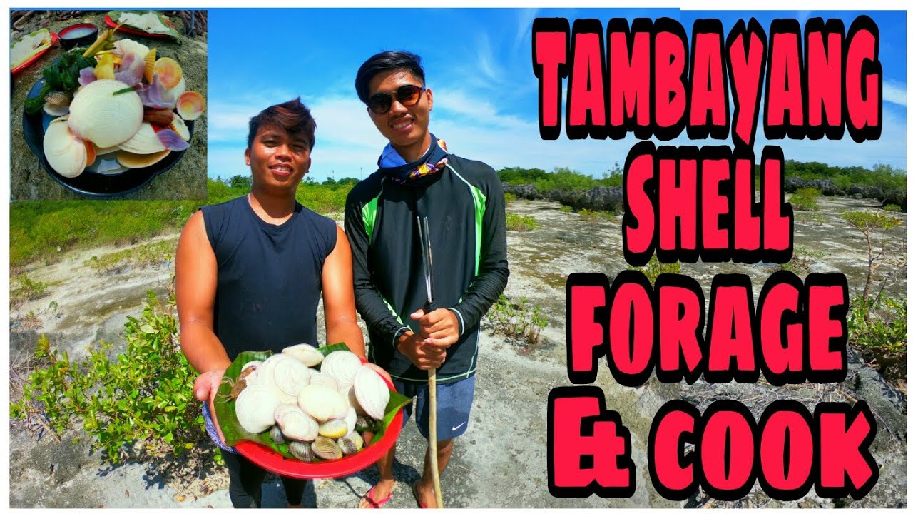 EP-28 FORAGE, COOK&EAT | EXPENSIVE TAMBAYANG SHELL -FRESH! | KATUL ...