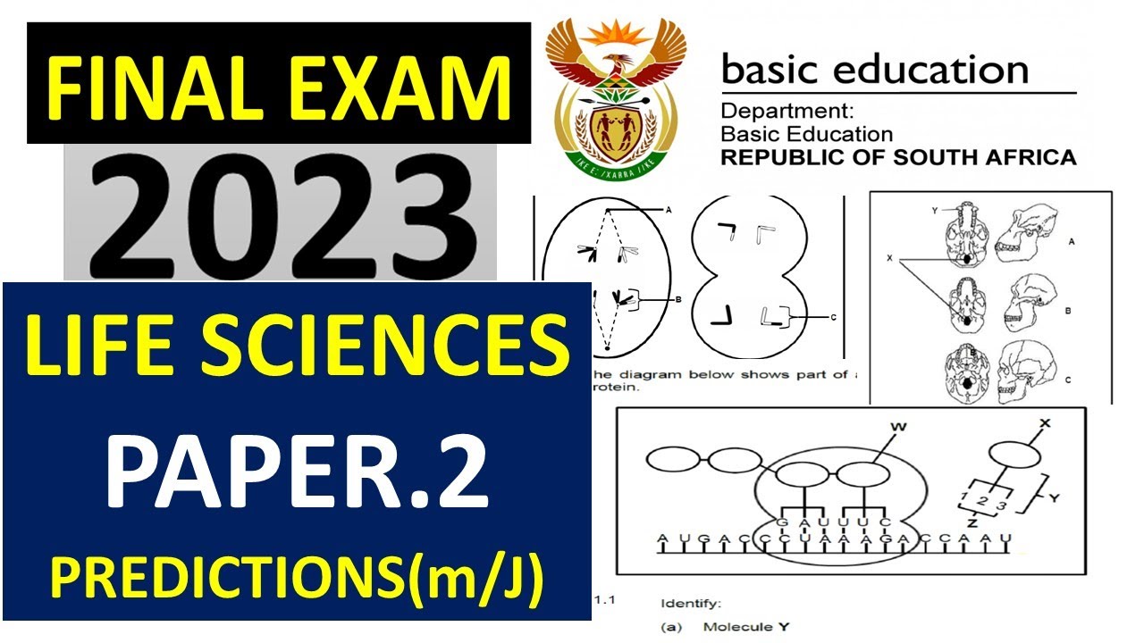 P.2 LIFE LIFE SCIENCES 12 : 2023 FINAL PAPER PREDICTIONS (M/J ...