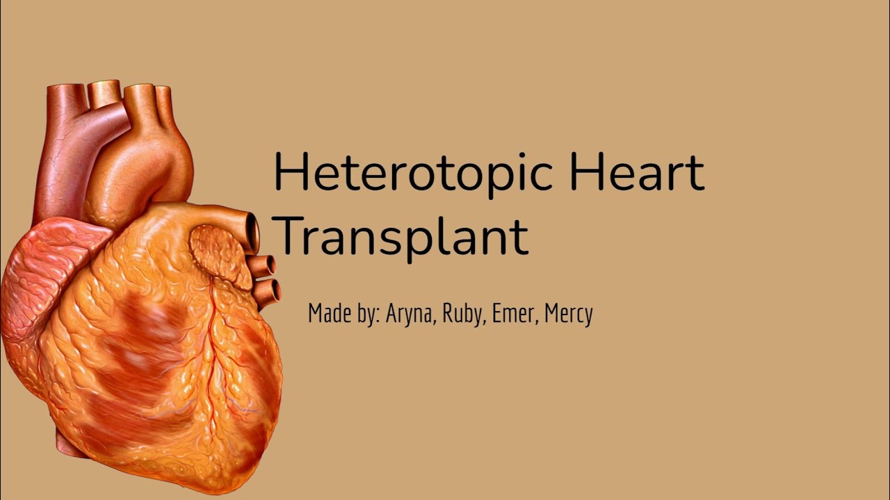 Heterotopic Heart Transplant (Reel Life Science Competition) - YouTube