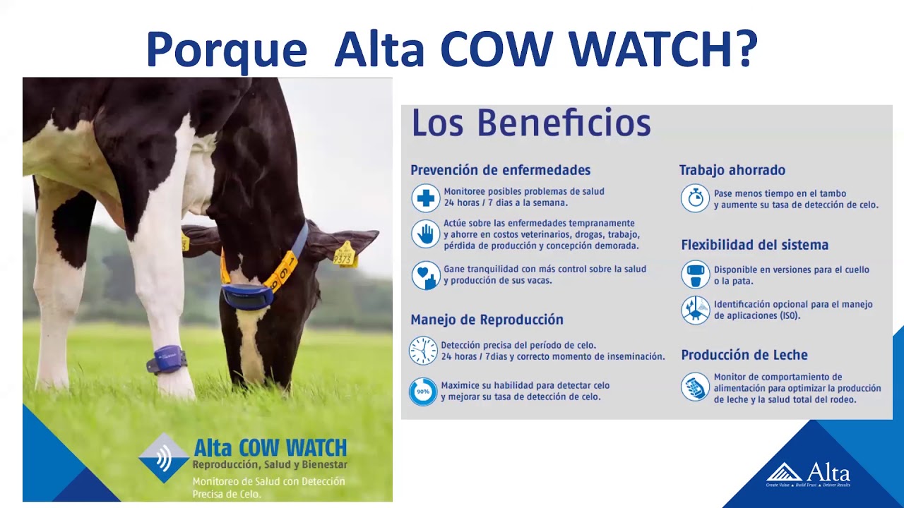 Webinar | Alta Cow Watch | Tecnología para el monitoreo de la salud y ...
