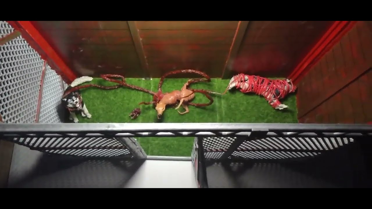 The Thing (1982) Dog Kennel Custom NECA - YouTube
