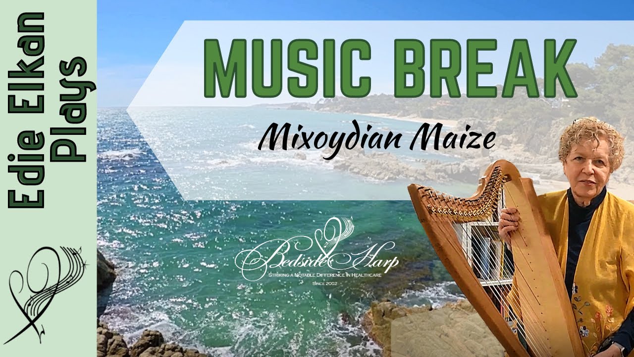 Acoustic Music Break with Harpist Edie Elkan - YouTube