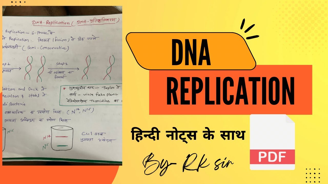 Dna Damage And Repair