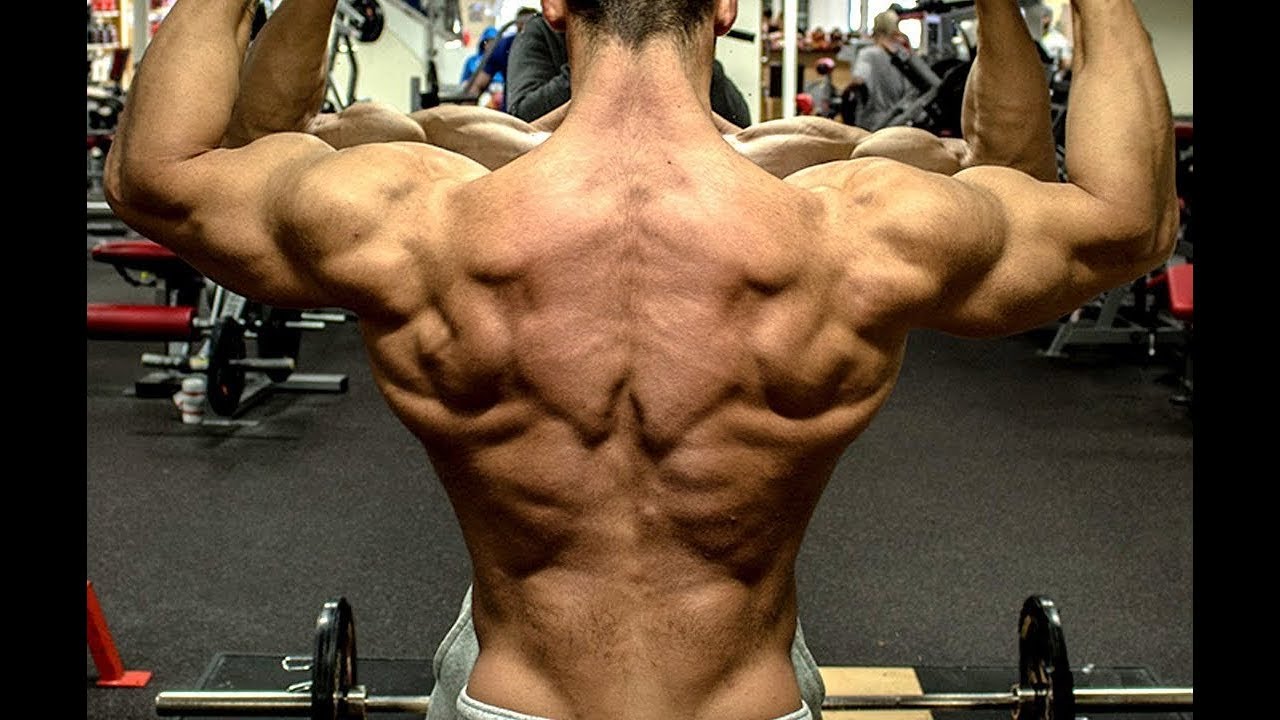 SERGI CONSTANCE BACK WORKOUT - YouTube