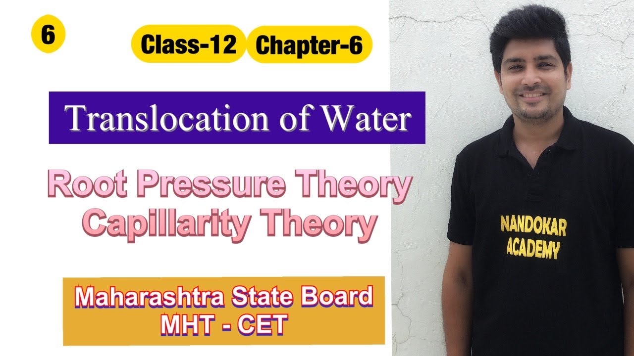 Class-12, Chapter-6, Translocation of Water, Root Pressure Theory ...