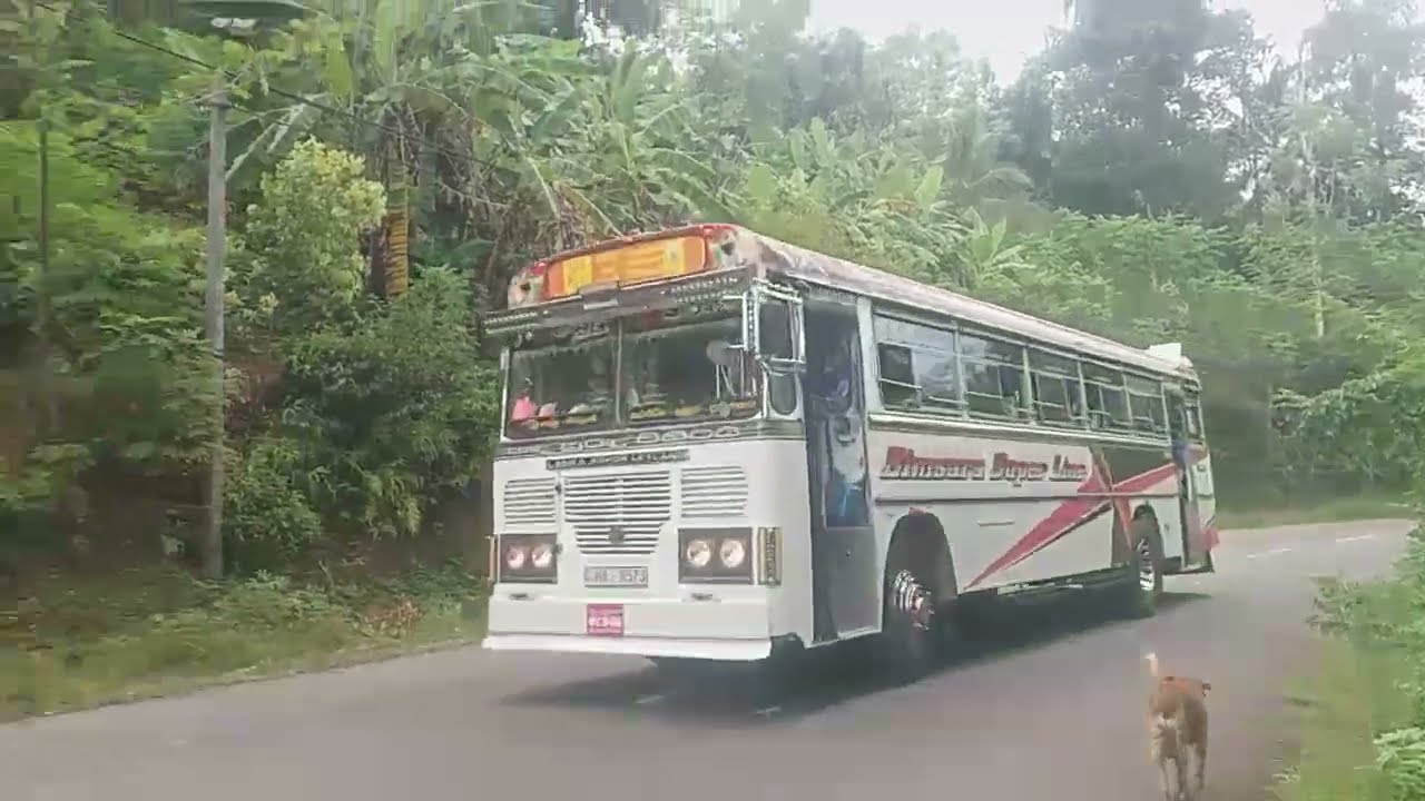 ️🥰BIMSARA SUPER LINE🤩💛 - YouTube