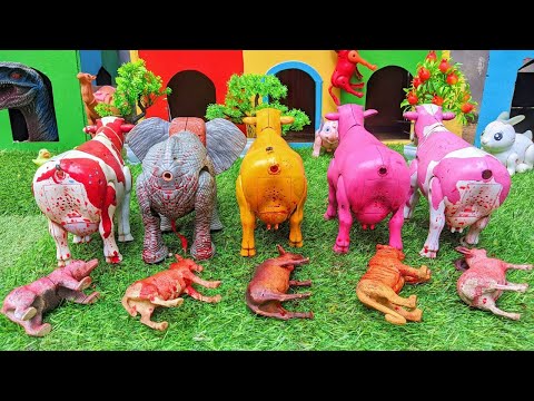 WADIDAU...‼️ Simulasi Sapi Melahirkan | Proses Melahirkan Cesar Sapi lucu | Cow Birth Simulation #15
