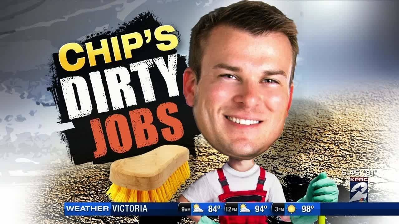 Chip's Dirty Jobs: Chip cleans up at the Houston Zoo - YouTube