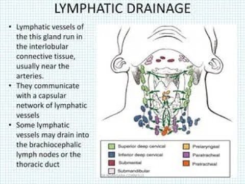 Lymphatic drainage of the Thyroid gland ; Prelaryngeal nodes ...